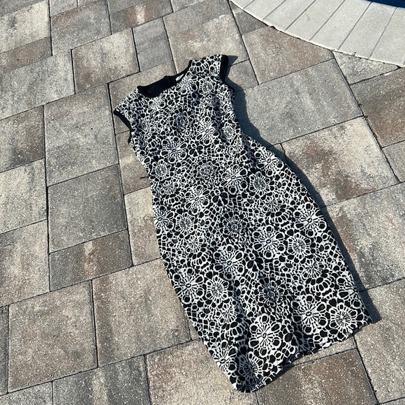 Cache | Dresses | Cache Dress | Poshmark